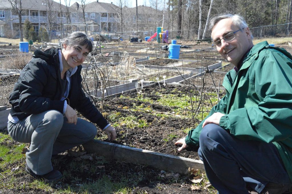 Le jardin communautaire les Arpents Verts de Magog: un endroit idéal ...