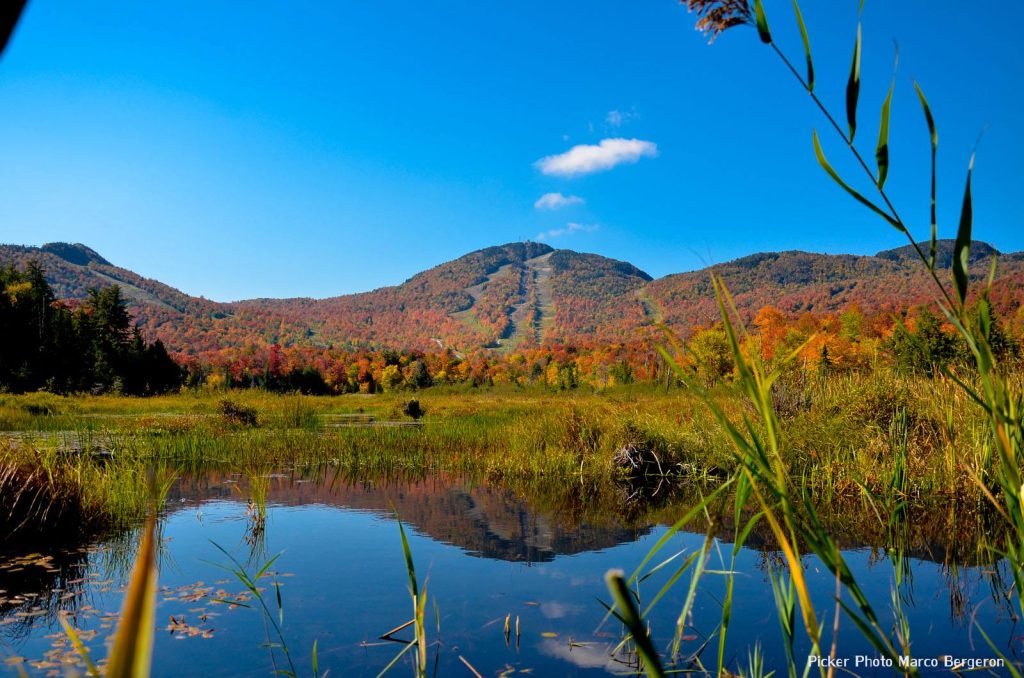 Orford veut définir son avenir - Le Reflet du Lac