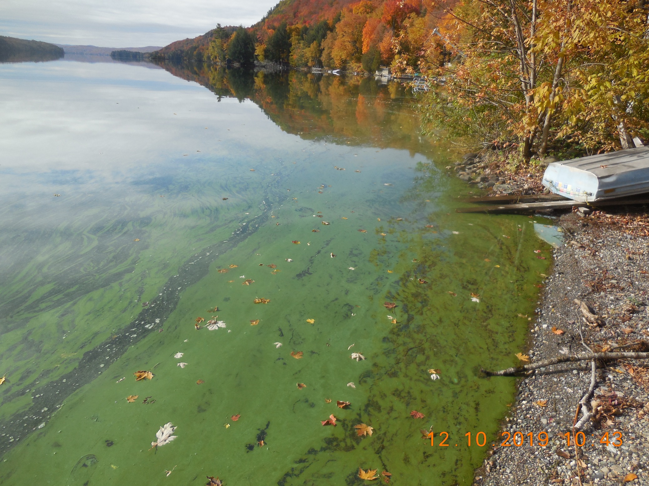 Sauver le lac Memphrémagog avant l’irréparable - Le Reflet du Lac