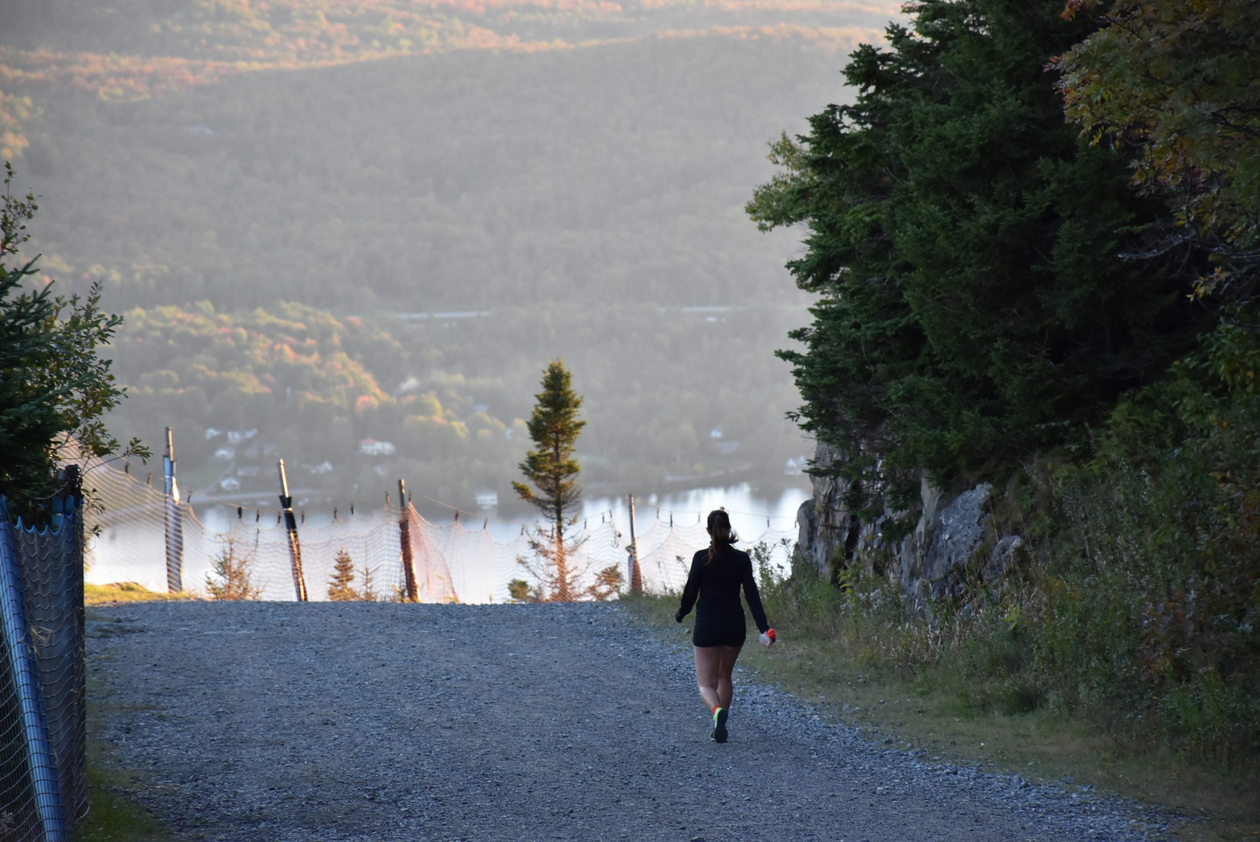 Rapprochement entre SOS Parc Orford et le Mont-Orford - Le Reflet du Lac