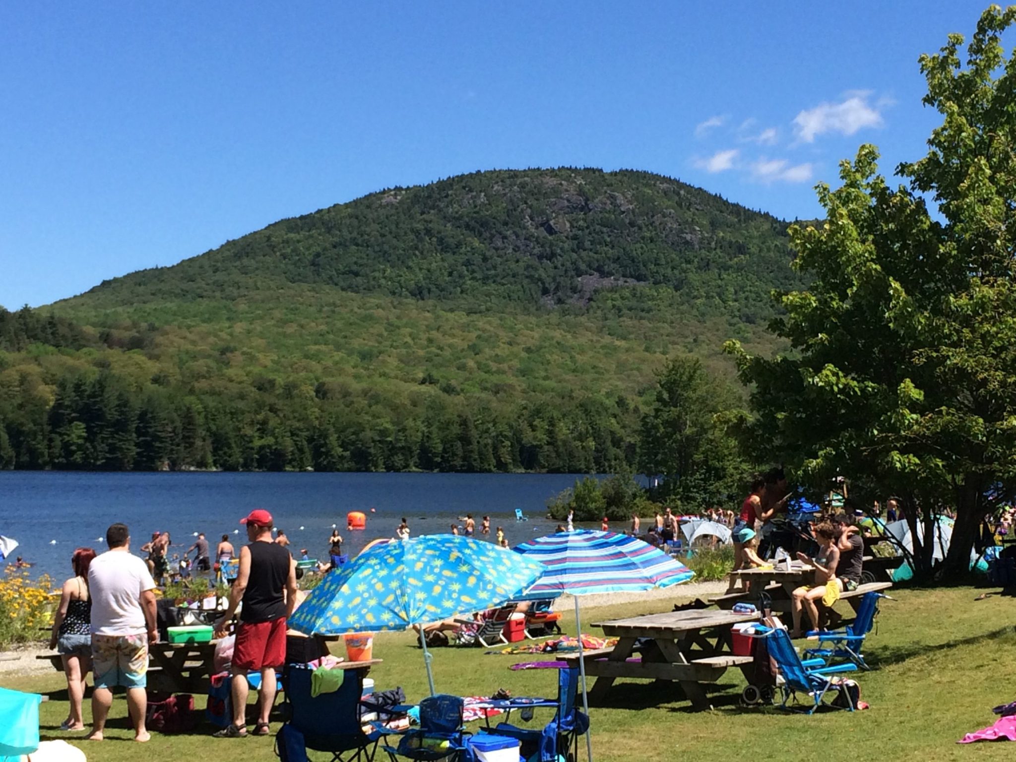 Six sauvetages en quatre semaines au parc national du Mont-Orford - Le ...