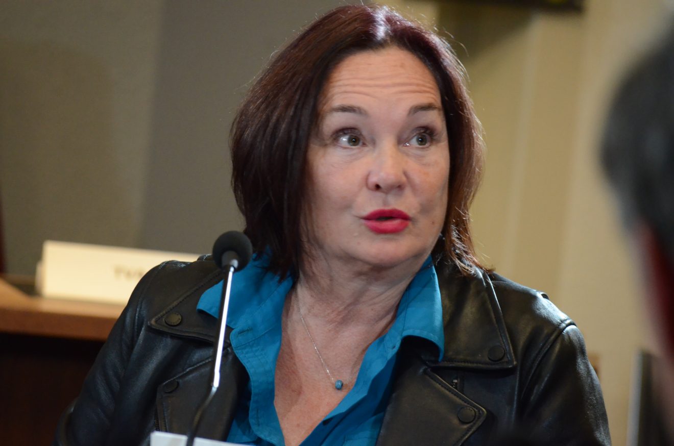Élections Magog 2021: Josée Beaudoin est le choix des résidants de ...