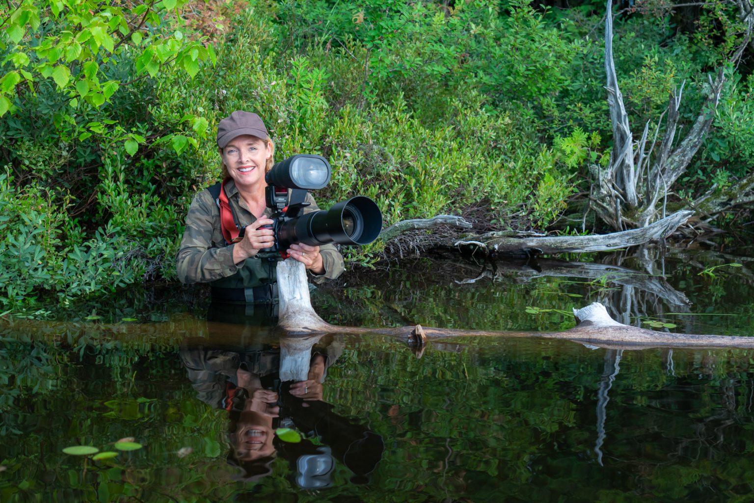 La photographie animalière: l'autre passion de Sophie Thibault - Le ...
