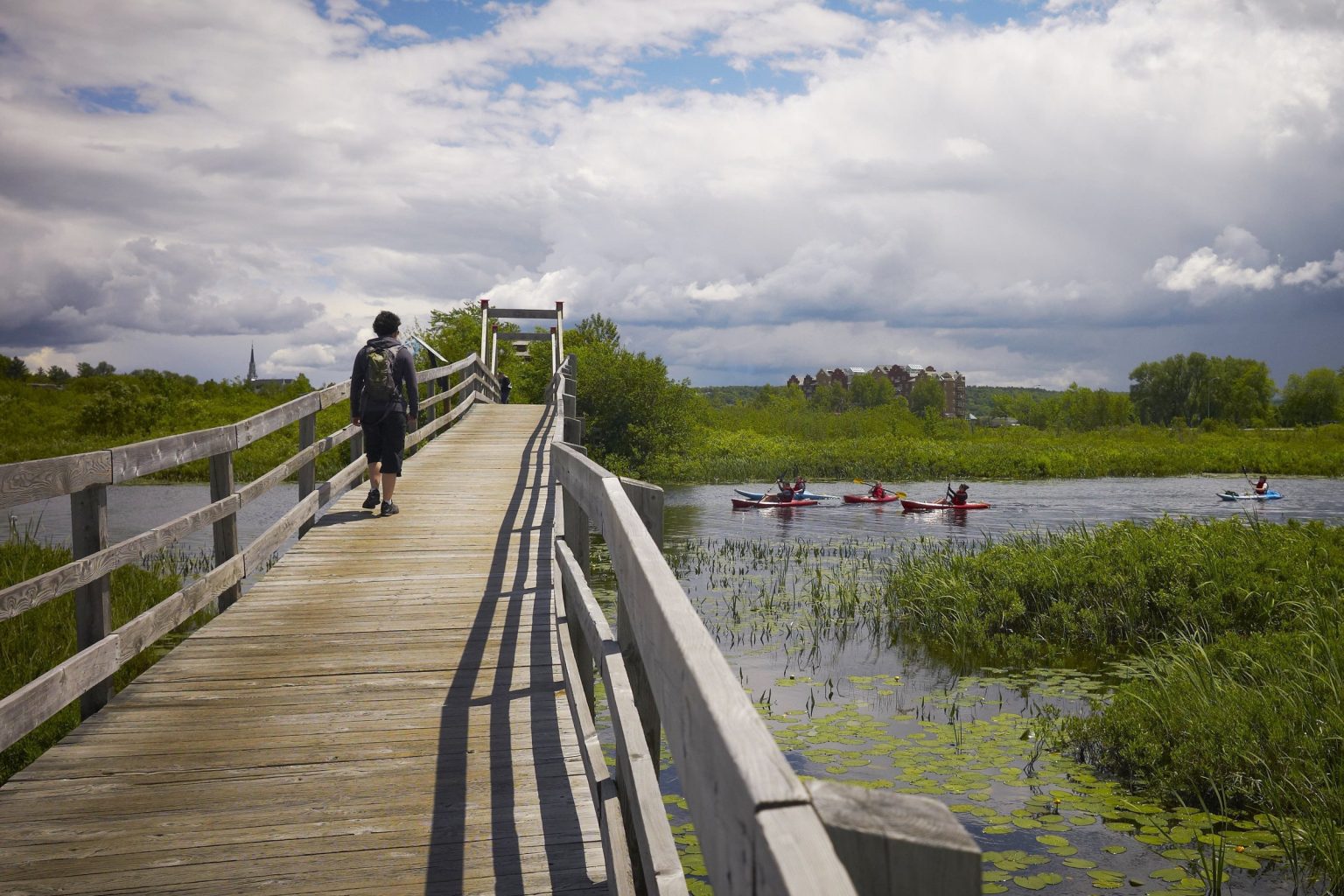 Le marais de la Rivière-aux-Cerises pourrait devenir une réserve ...
