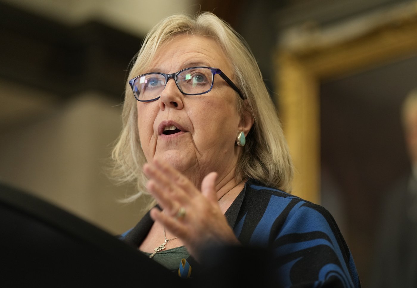 Elizabeth May veut rester à la tête du Parti vert pour le moment - Le ...